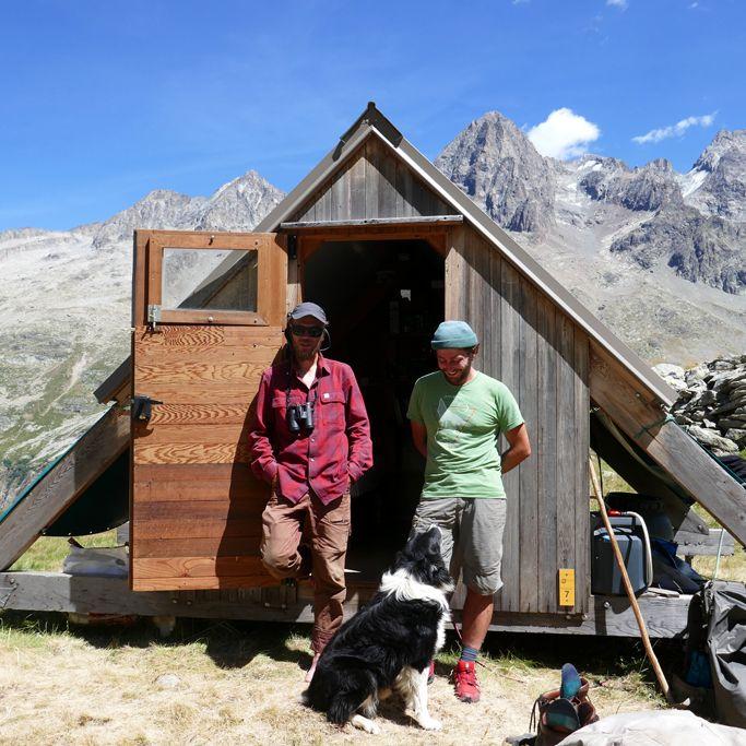 Les bergers d’appui, kézaco ? | Parc national des Ecrins