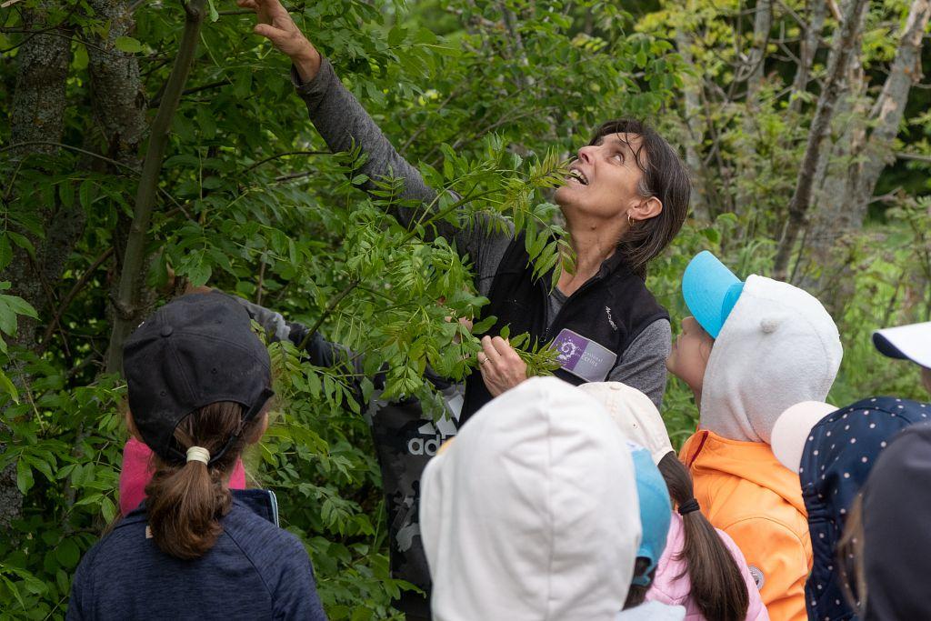 Écrins de nature : un retour pour 3 succès ! | Parc national des Ecrins