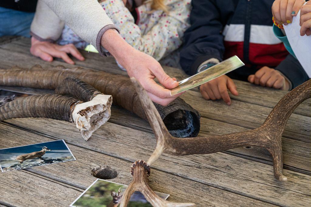 Écrins de nature : un retour pour 3 succès ! | Parc national des Ecrins